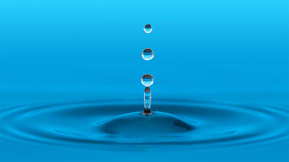 Rewetting Drops And Hydra-PEG – Tangible Science