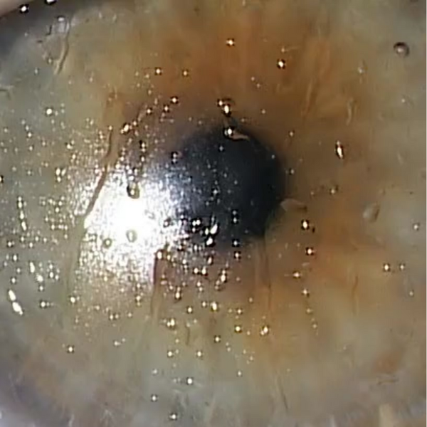 What is Tangible Hydra-PEG? | A Surface Coating To Solve Your Contact ...