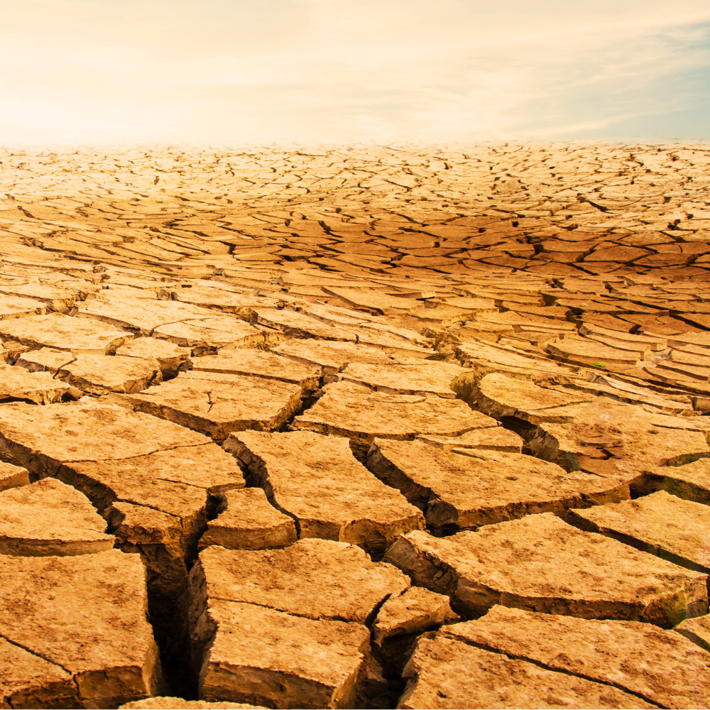 Contact Lens Problems – Tangible Science